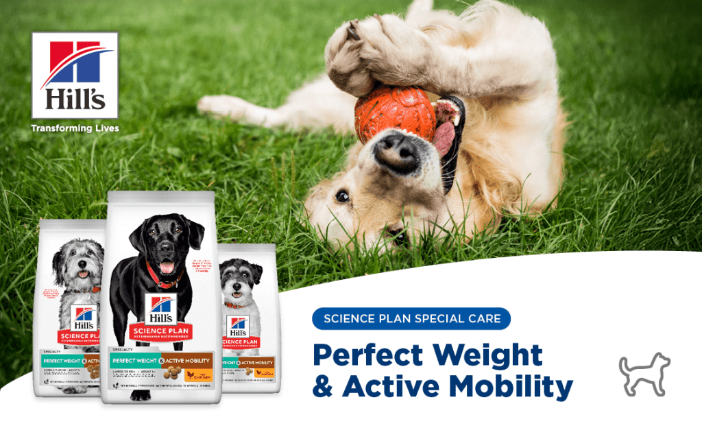 Perfect Weight & Active Mobility | ZUKI Pet Shop